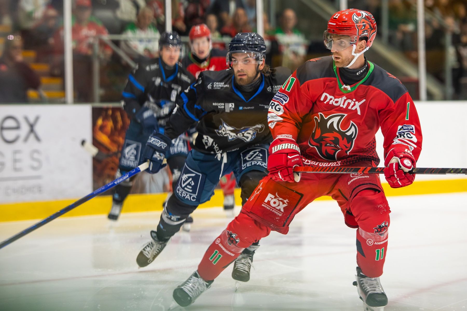 Official Cardiff Devils Website | Tickets