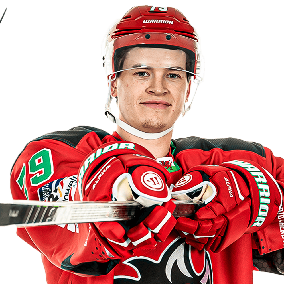 Official Cardiff Devils Website | Team