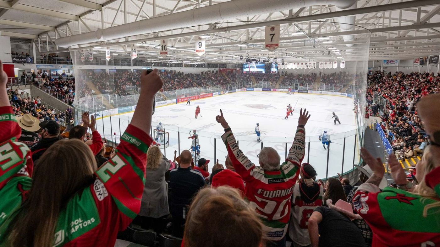 Official Cardiff Devils Website | All seats for pre-season games just £12